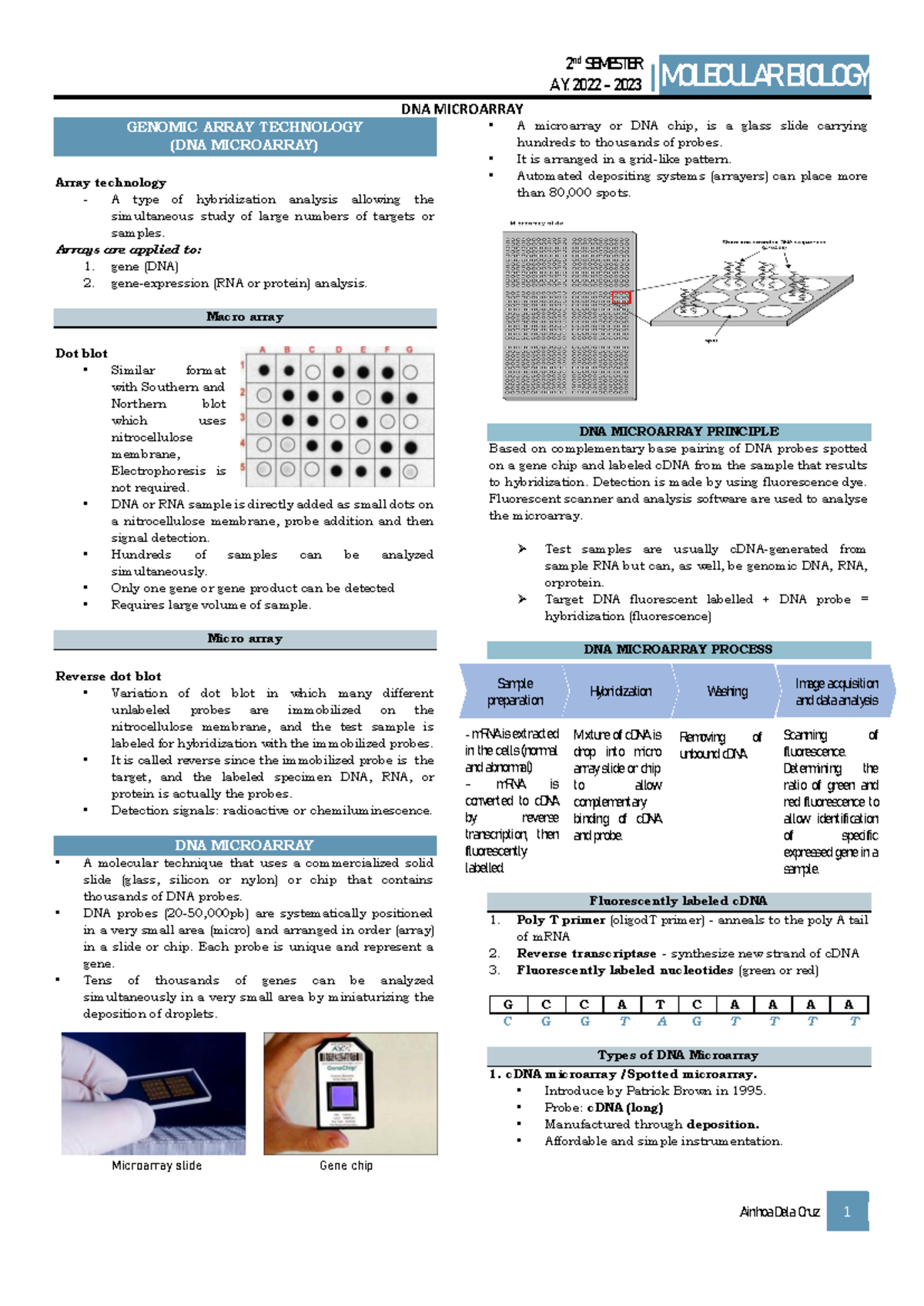 Dna Microarray Dna Microarray Molecular Biology Dna Microarray 6804
