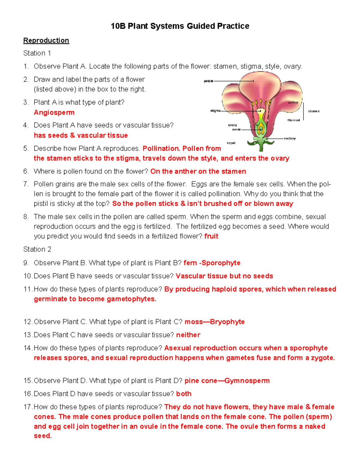 Video 4 - introduction to marine botany - 10B Plant Systems Guided ...