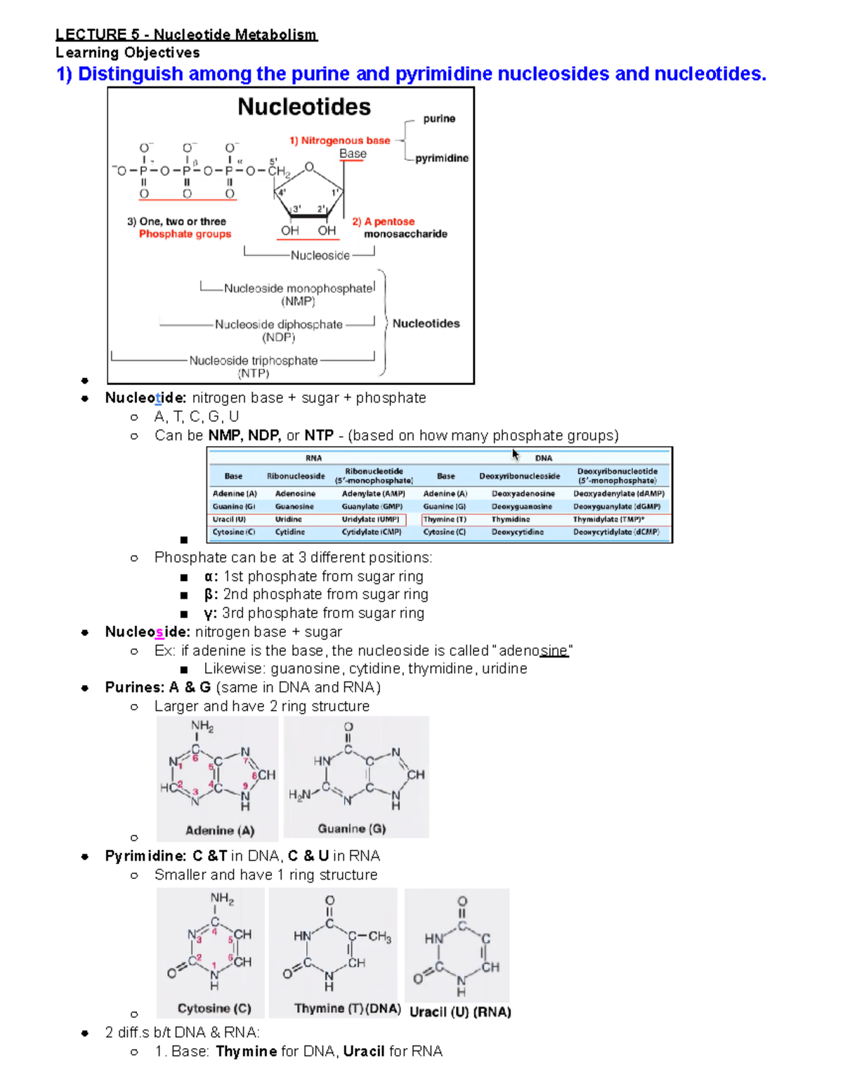 Lecture 5 - Nucleotide Metabolism - LECTURE 5 - Nucleotide Metabolism ...