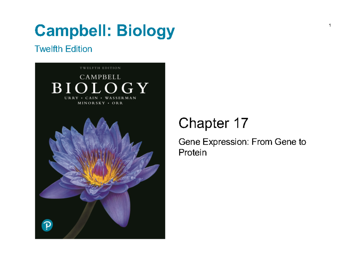 Topic 23 Gene Expression Gene Protein - Campbell: Biology Twelfth ...