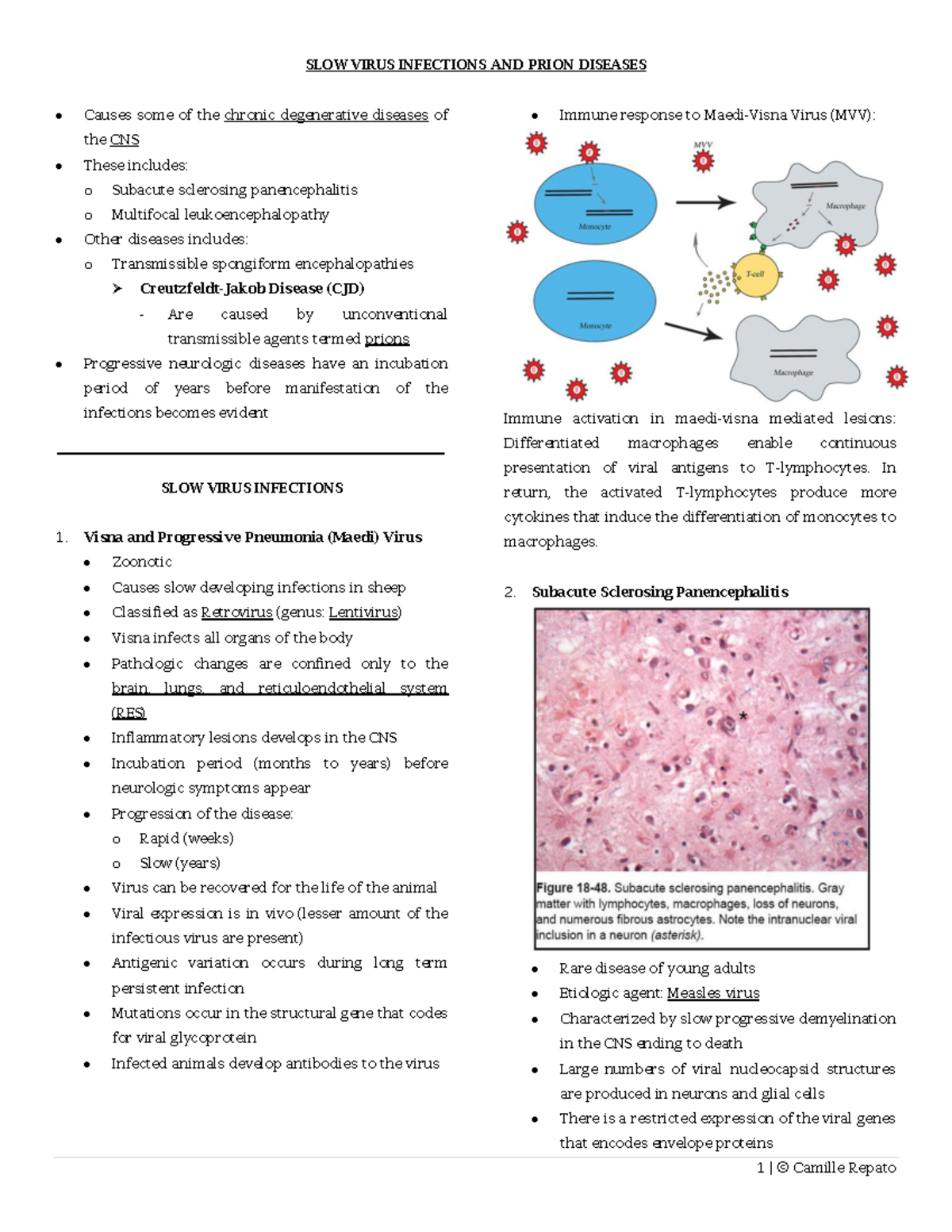 Viro - Slow Virus Infections and Prion Diseases (Notes) - SLOW VIRUS ...