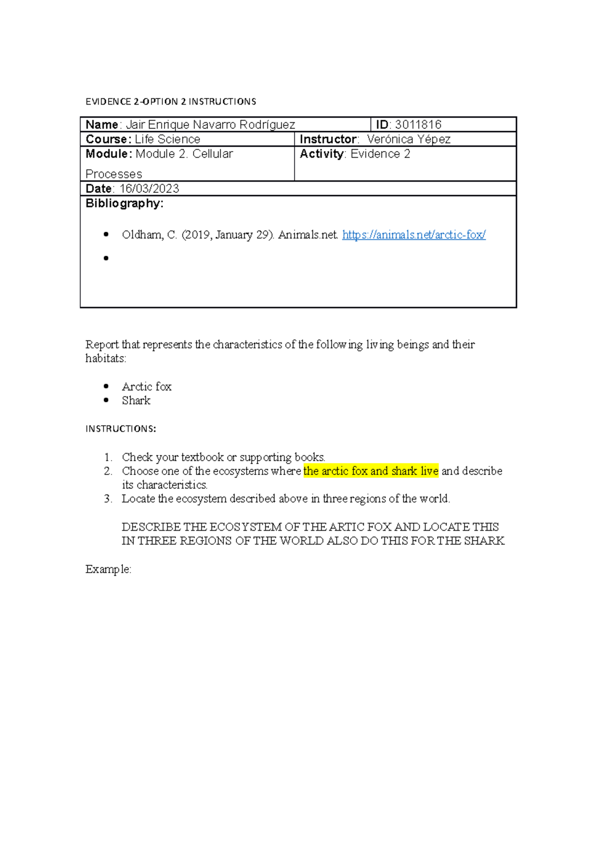 Evidence 2- Option 2 Instructions - EVIDENCE 2-OPTION 2 INSTRUCTIONS ...