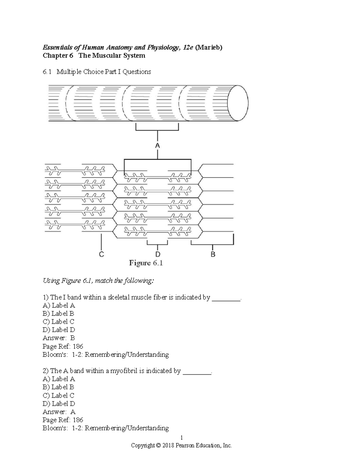 Ch6 - Quiz questions - Essentials of Human Anatomy and Physiology, 12e ...
