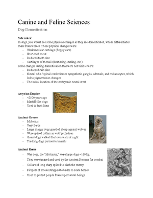 The Lifecyle complete module - Breeding and Reproduction Canine Estrous ...