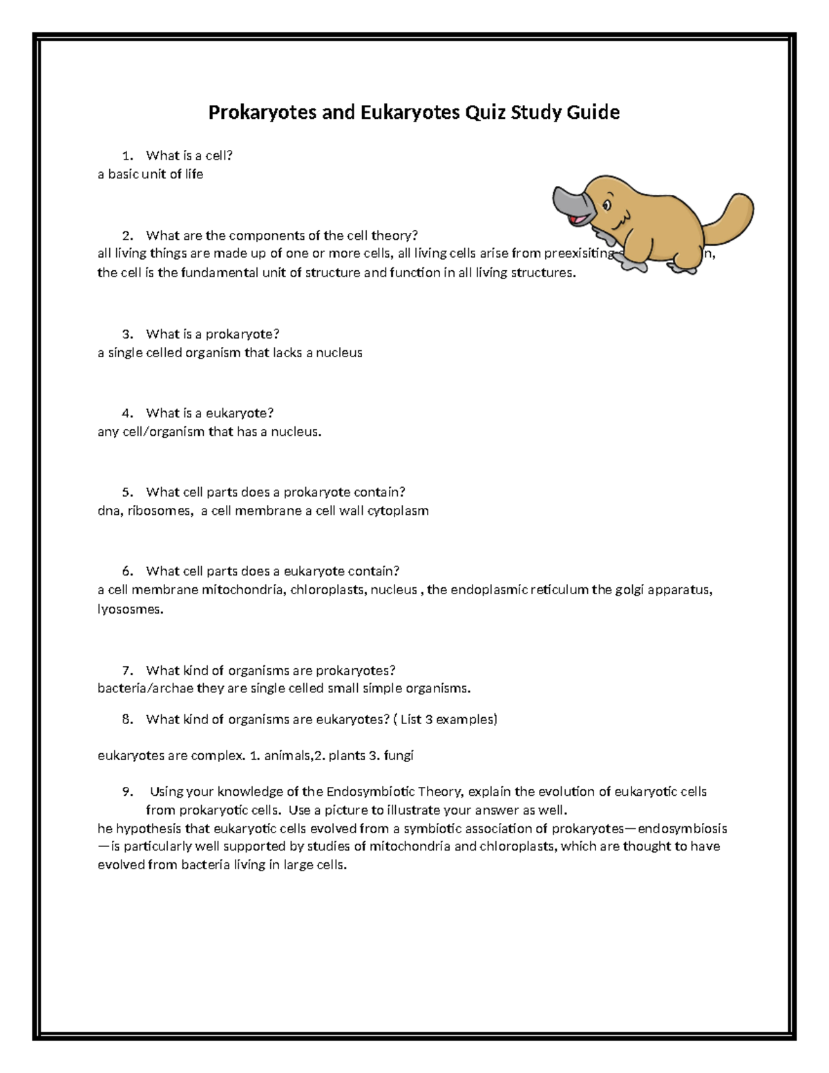 Eukaryotes+and+Prokaryotes+Quiz+Study+Guide - Prokaryotes and ...