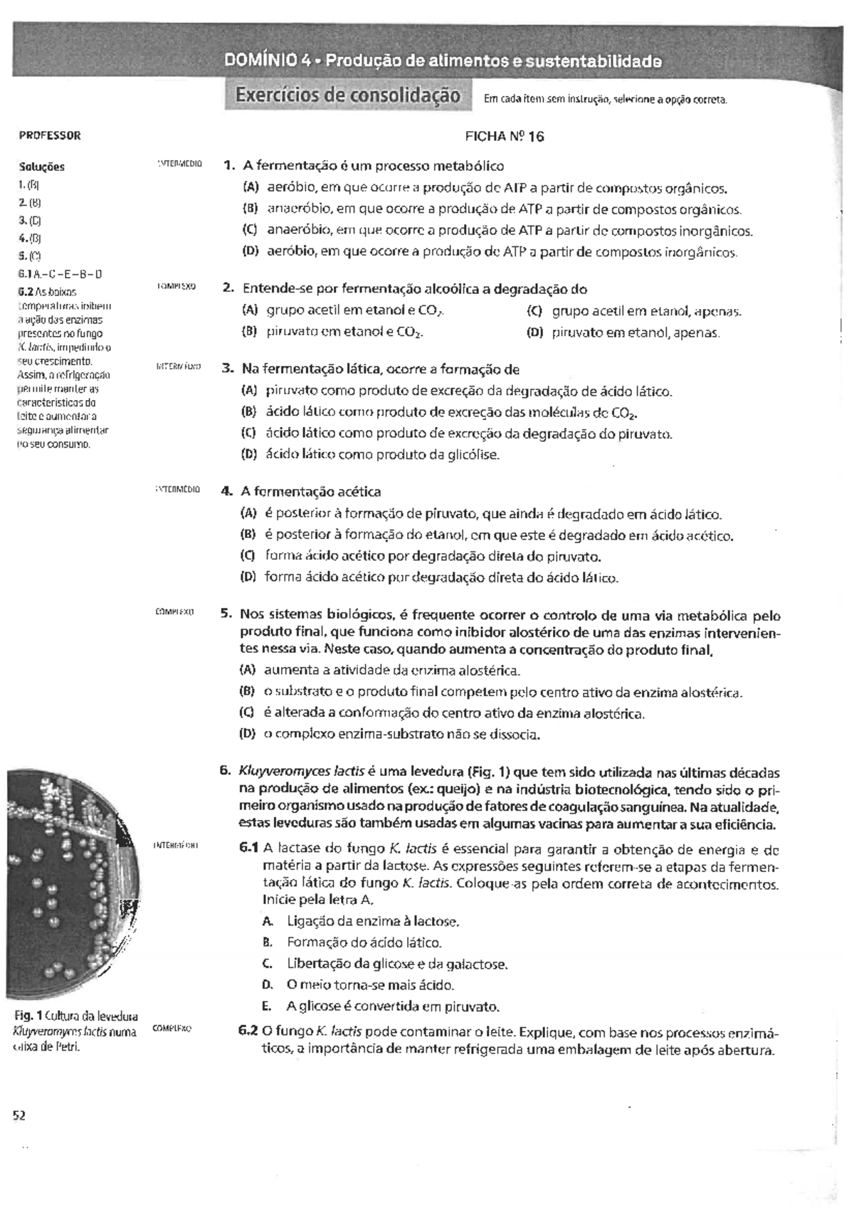 Fichas do CA - Biologia - Exercícios - Domínio 4 - DOMÍNIO 4 Produção ...