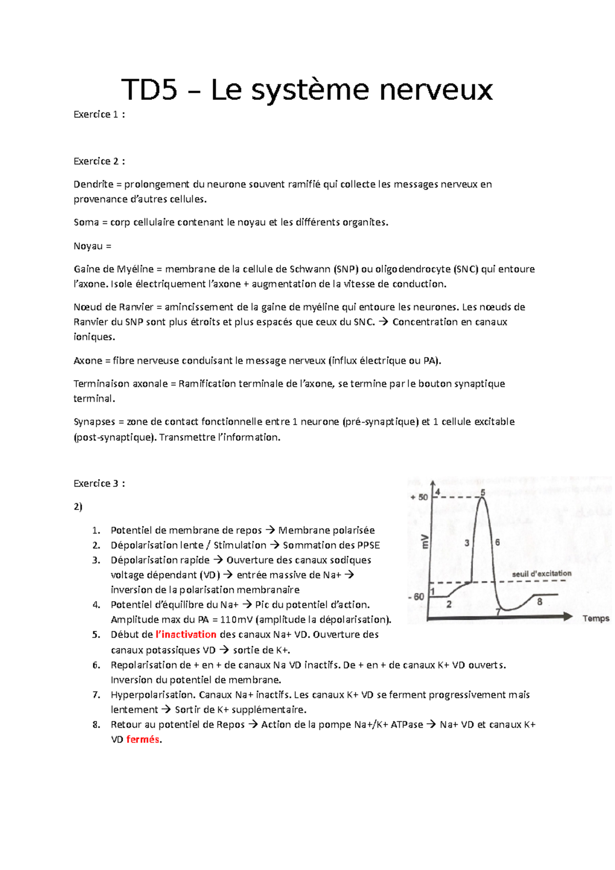 Correction TD Physiologie - TD5 – Le système nerveux Exercice 1 : Exercice 2 : Dendrite = - Studocu
