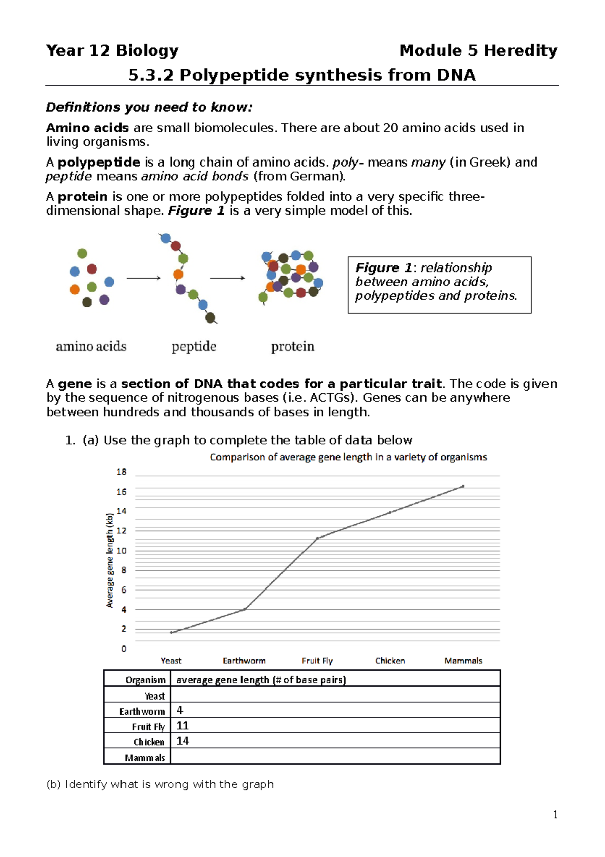 5.3.2 Booklet DNA to polypeptide - Year 12 Biology Module 5 Heredity 5. ...