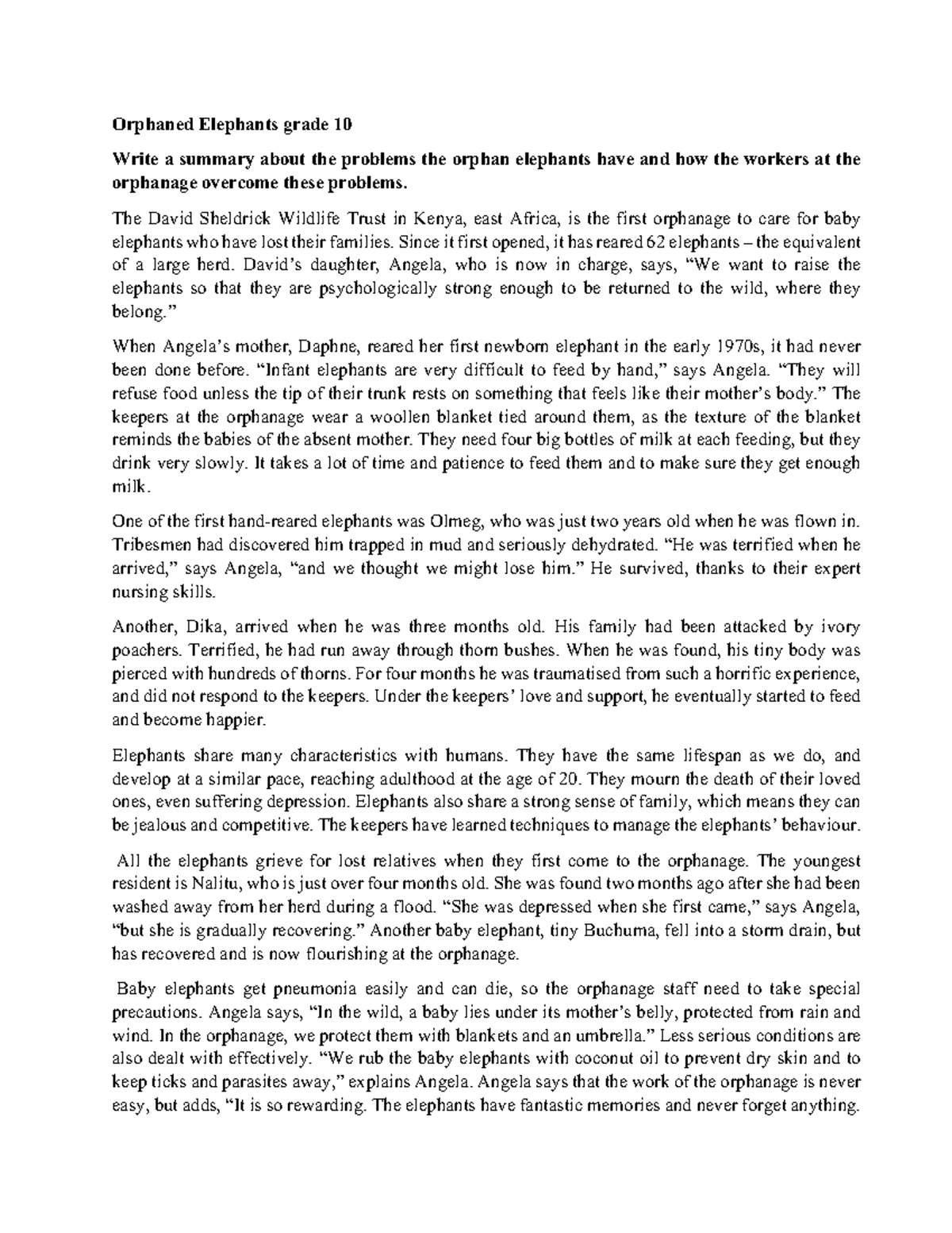 Orphaned Elephants Summary practice grade 10 - Orphaned Elephants grade ...