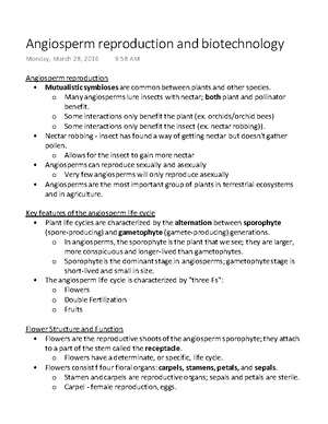 Plant Transpiration Summary - Callie Scanlon April 25th, 2023 007 Nail ...