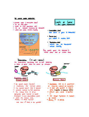 Intro to Biology BIO 111 Summary notes on Osmoregulation and Excretion ...