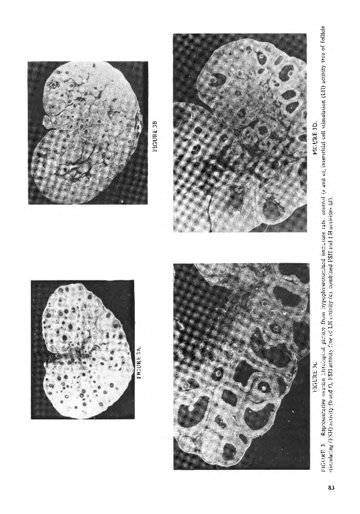 Biochemistry-32 - N/A - FIGURE 3A. FIGURE 3B. FIGURE 3C. FIGURE 3D ...