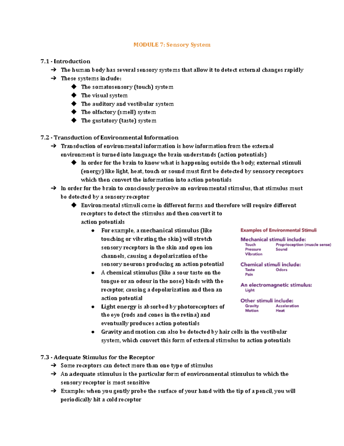 Module 7 Sensory System - MODULE 7: Sensory System 7 - Introduction The ...