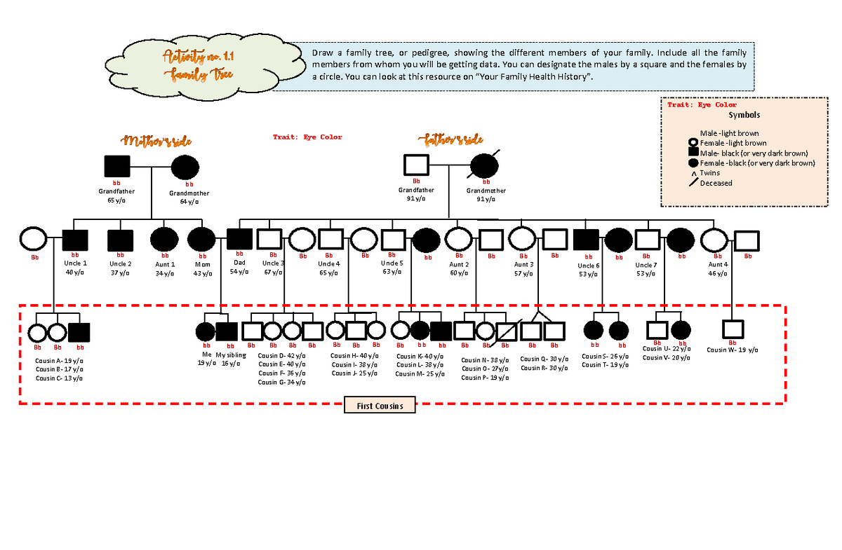 Cytogenetics- Family Tree Activity - Draw a family tree, or pedigree ...