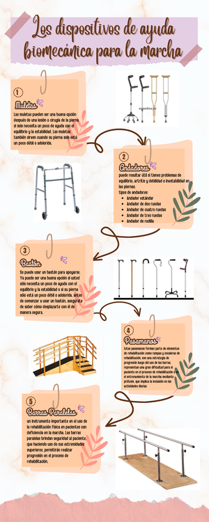 Alimentos+Funcionales+%28Espa%F1ol%29 - Resúmenes Ilustrados Alimentos ...