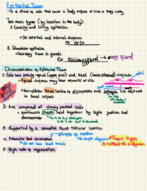 Anatomy Study Guide - I Gross anatomy is the study of large body ...