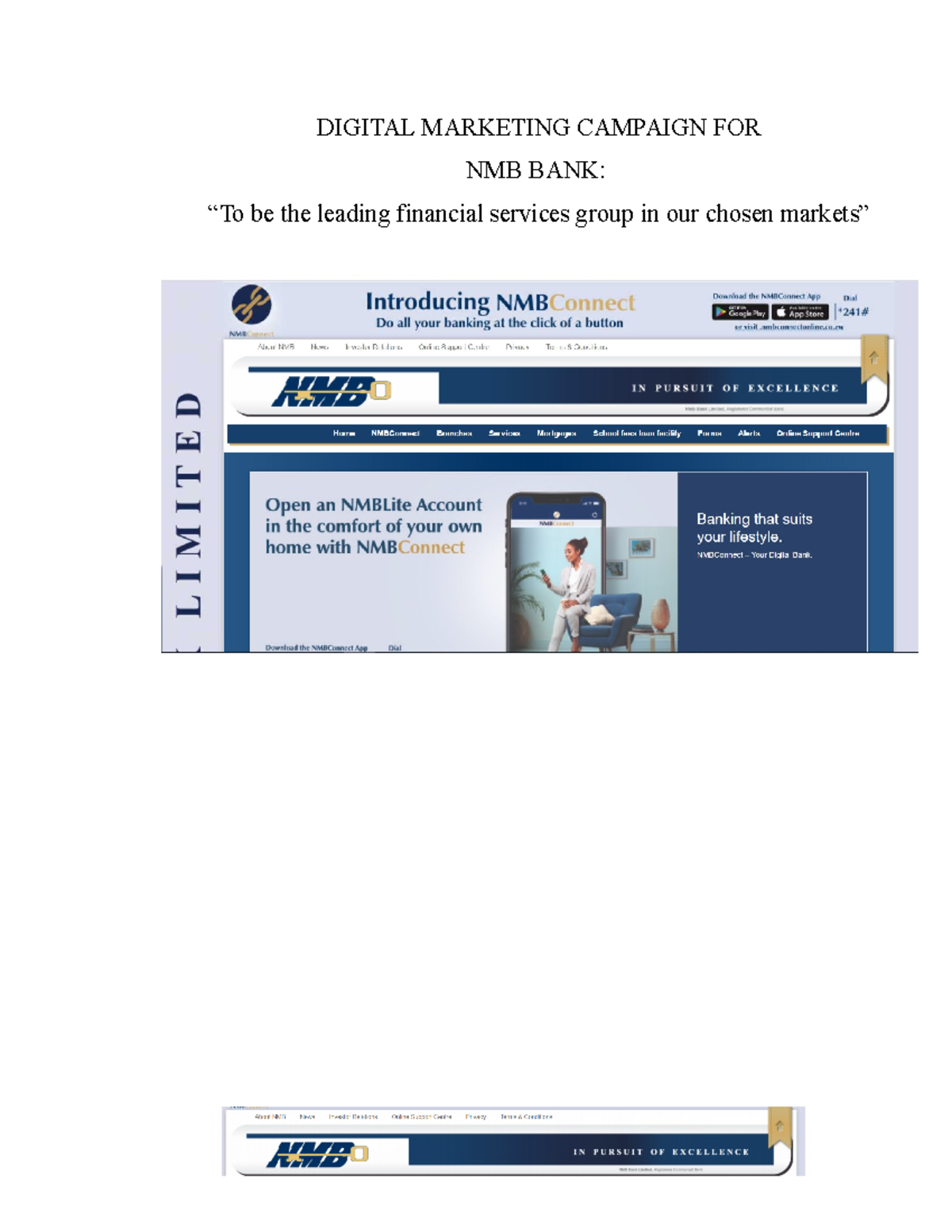 NMB Digital Online Marketing case study - DIGITAL MARKETING CAMPAIGN ...