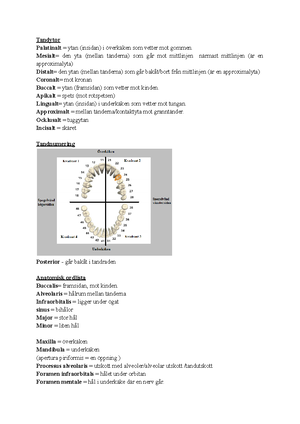 Kraniets Delar - Anatomi - KRANIETS DELAR Kraniet består av två delar ...