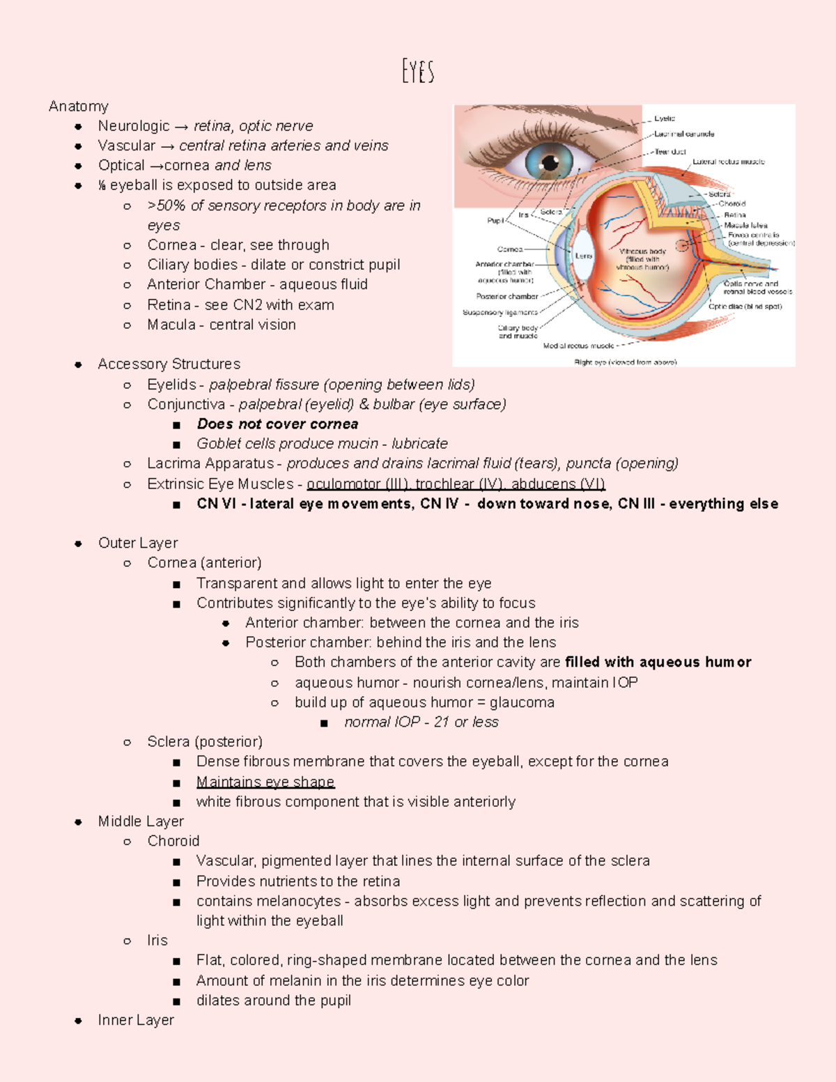 Ch 15 Eyes - Lecture notes for heent - Eyes Anatomy Neurologic → retina ...