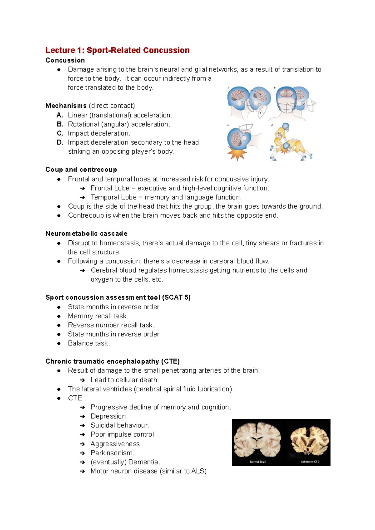Kine1080 - test 1 - notes - Lecture 1: Sport-Related Concussion ...
