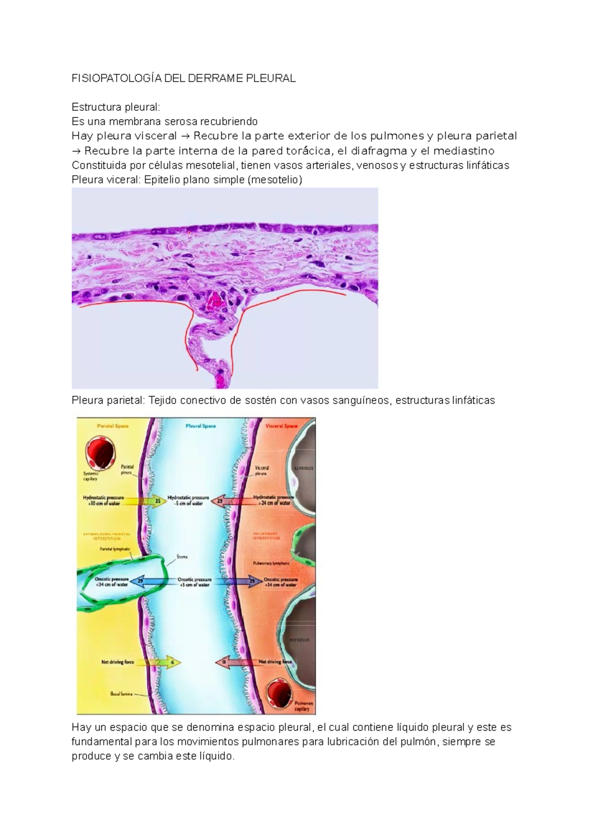 43. Fisiopatologia del derrame pleural - FISIOPATOLOGÍA DEL DERRAME ...