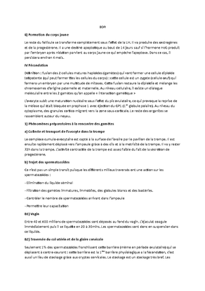 Fiches Bases Anatomiques - 22 octobre 2023 - I. La position anatomique ...