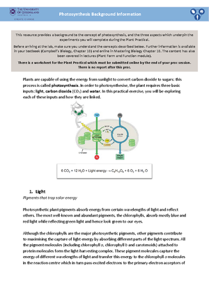 Chapter 6. Chapter Quiz (Pearson) - Chapter 6. Bones and Skeletal ...
