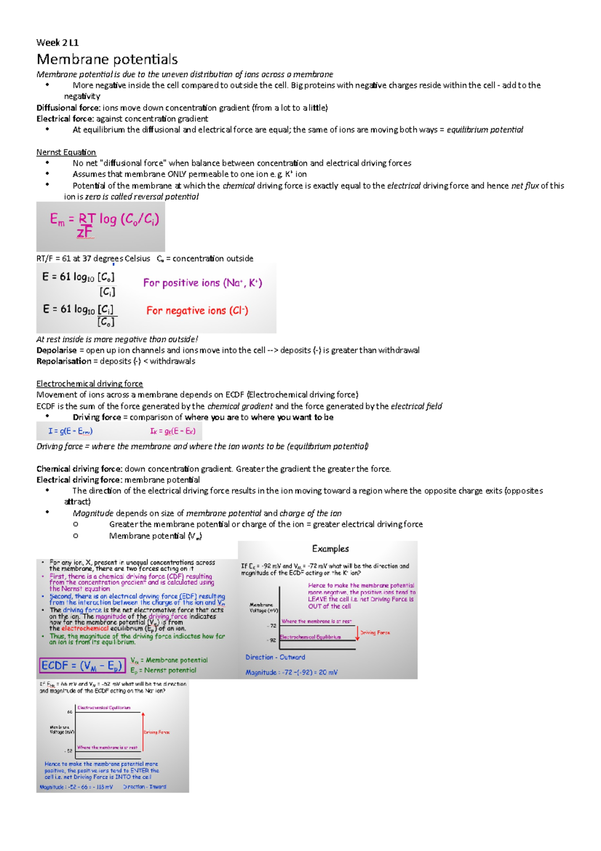 Week 2 Lectures - lecture notes - Week 2 L Membrane potentials - Studocu