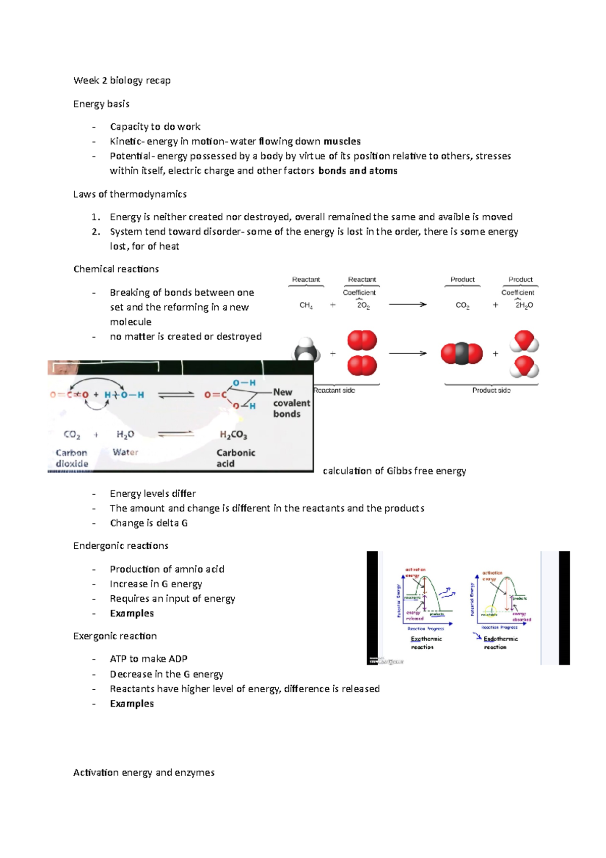 Week 2 biology recap - notes to help you suceed - Week 2 biology recap ...