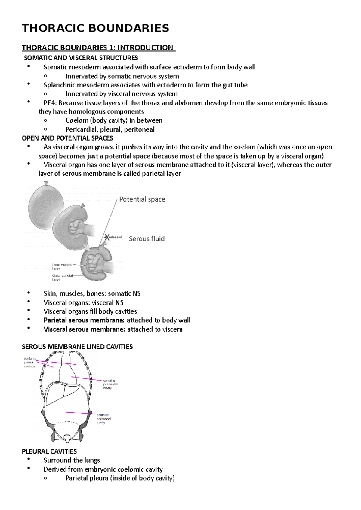 Thorax Notes - THORACIC BOUNDARIES THORACIC BOUNDARIES 1: INTRODUCTION ...