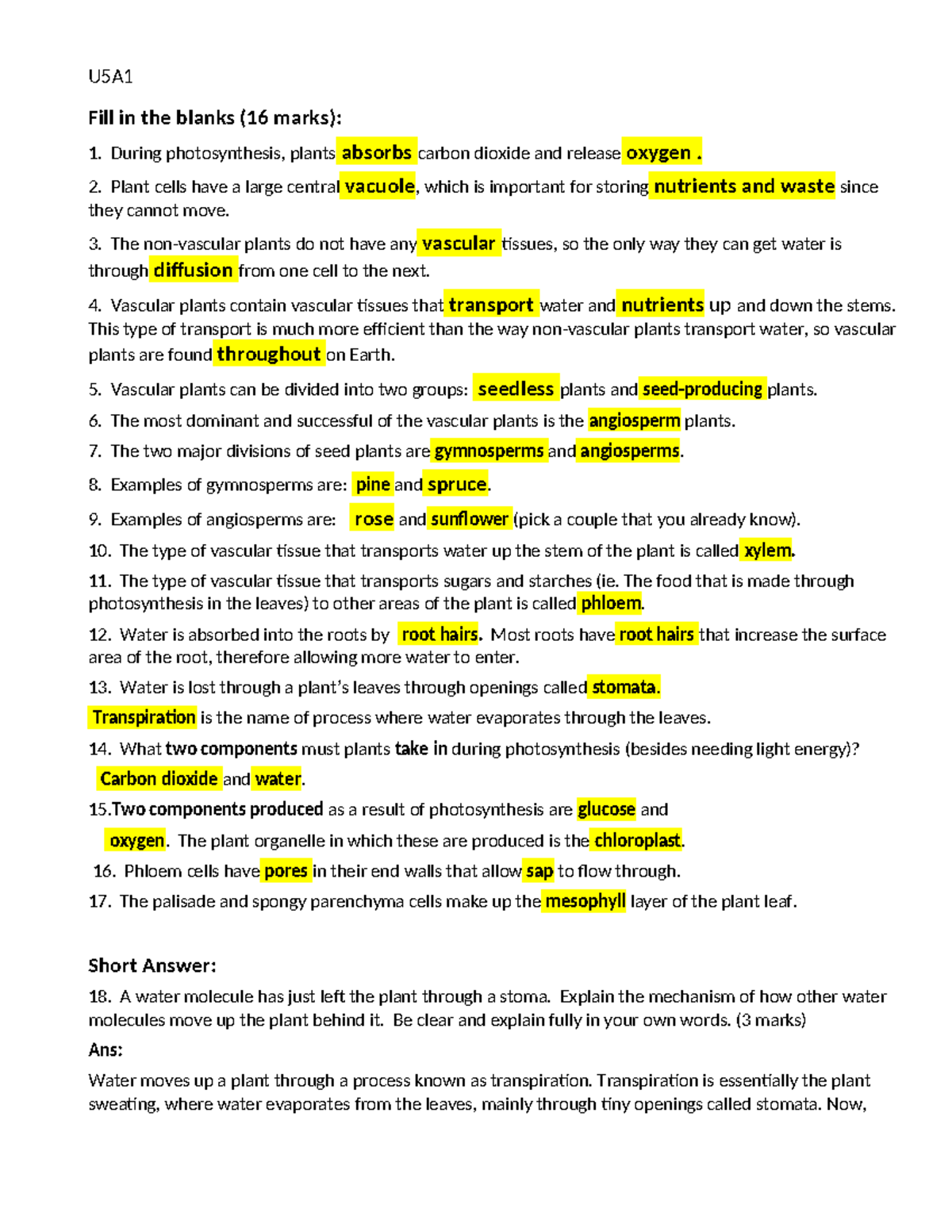 Plant Parts and Functions - Fill in the blanks (16 marks): 1. During ...