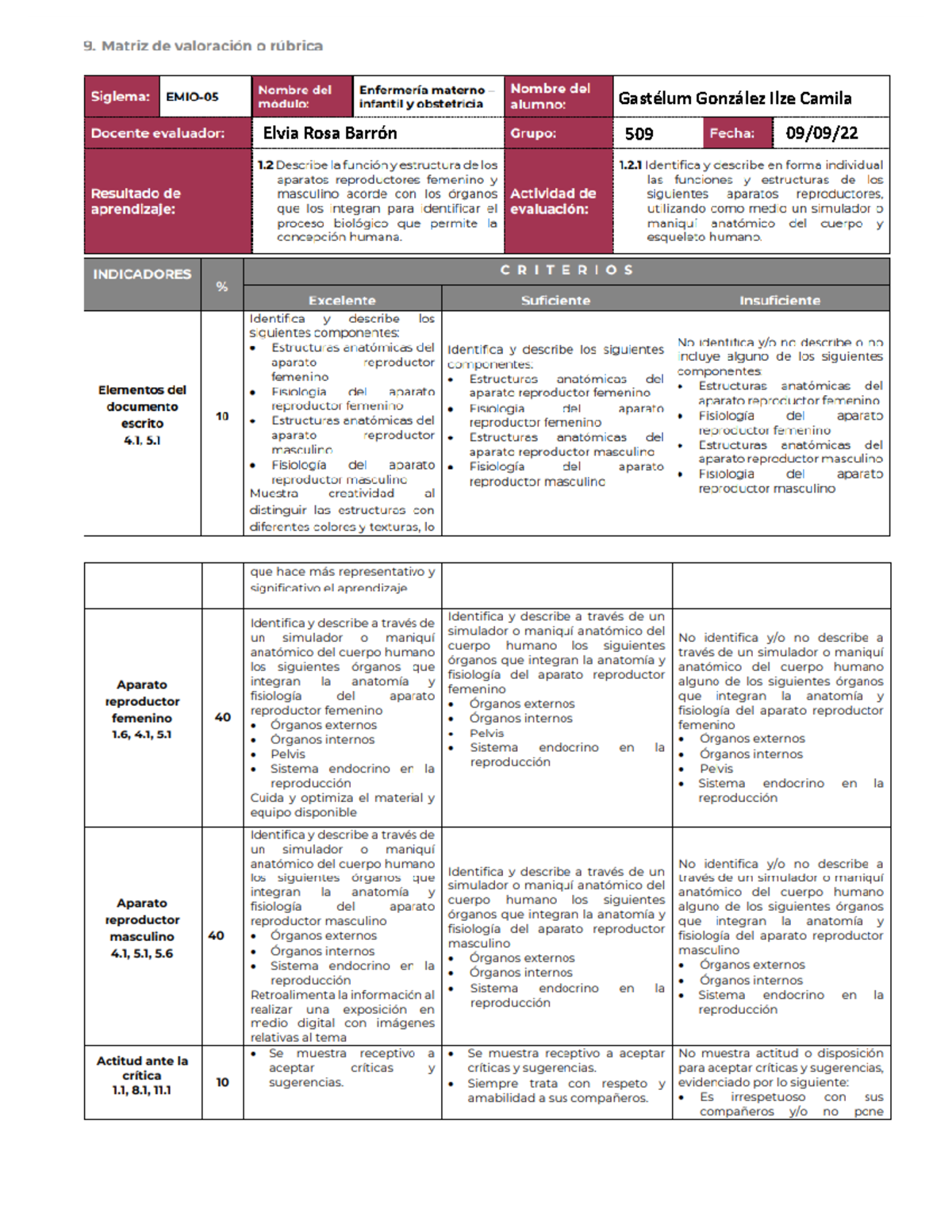 Matriz 1.2 Materno - Tareas de enfermería - Elvia Rosa Barrón 509 09/09 ...