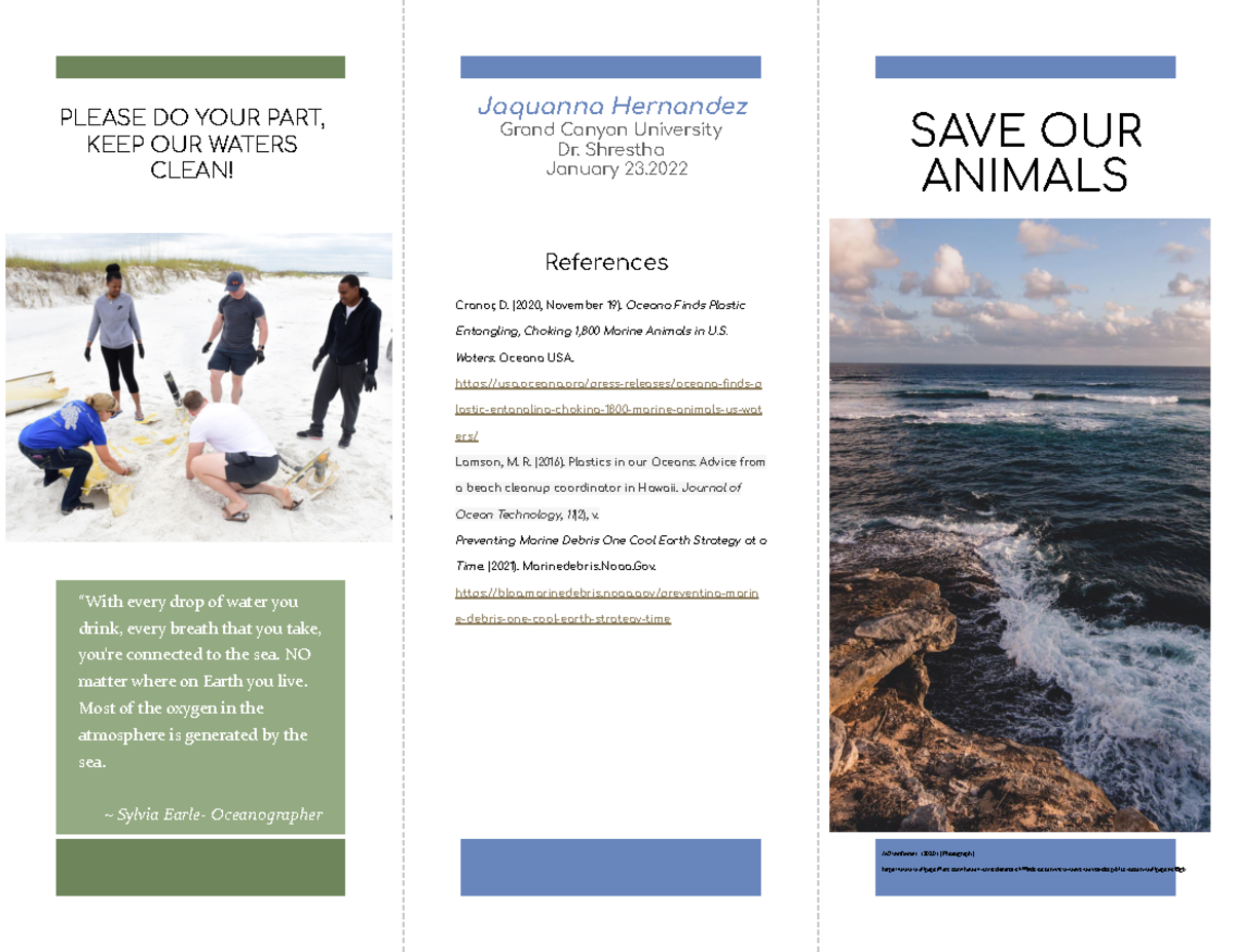 Decreasing Pollution Pamphlet Project - Printing: Your printer might ...