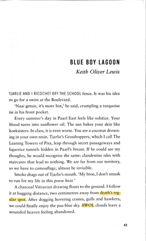 [Solved] Analyse the short story Blue boy laggon by Keith oliver Lewis ...
