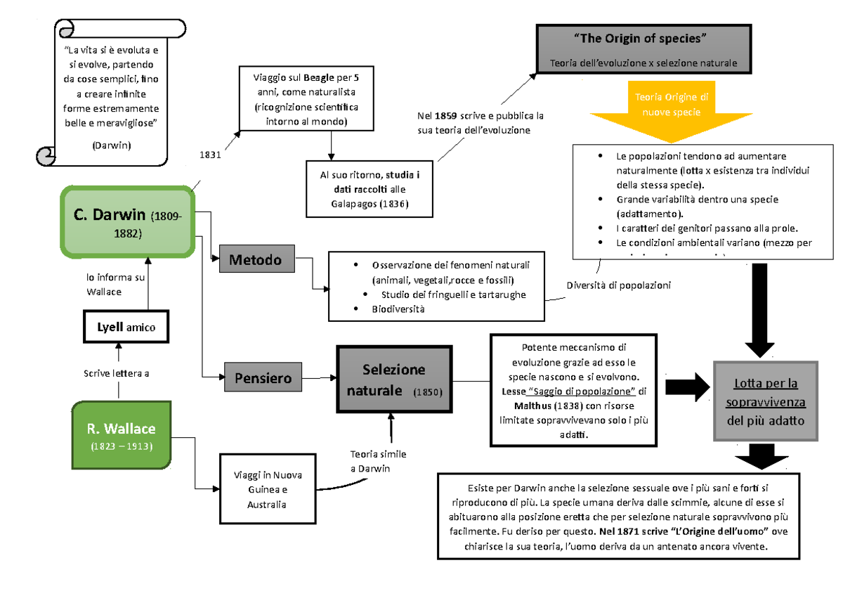 Darwin- Lez. 24 mappa - mappe Antropologia - “La vita si è evoluta e si evolve, partendo da cose ...