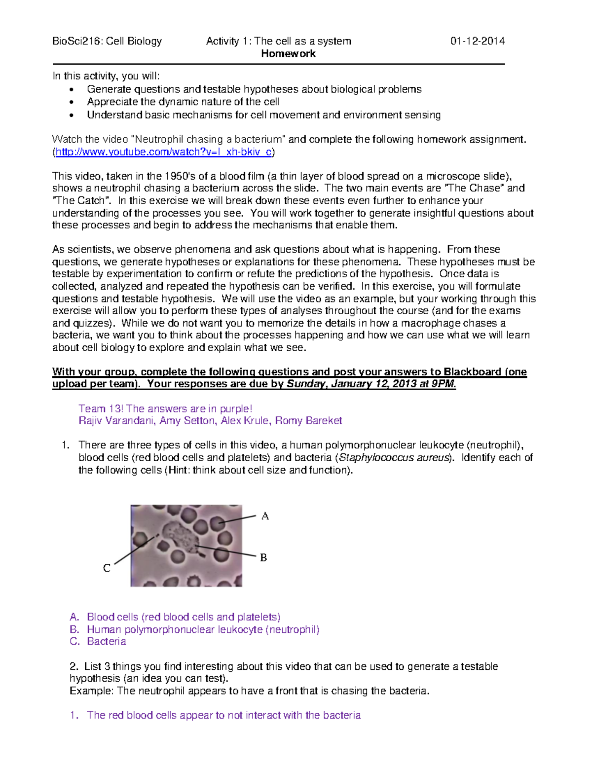 Bio.216.Group.Project.1.final - BioSci216: Cell Biology Activity 1: The ...