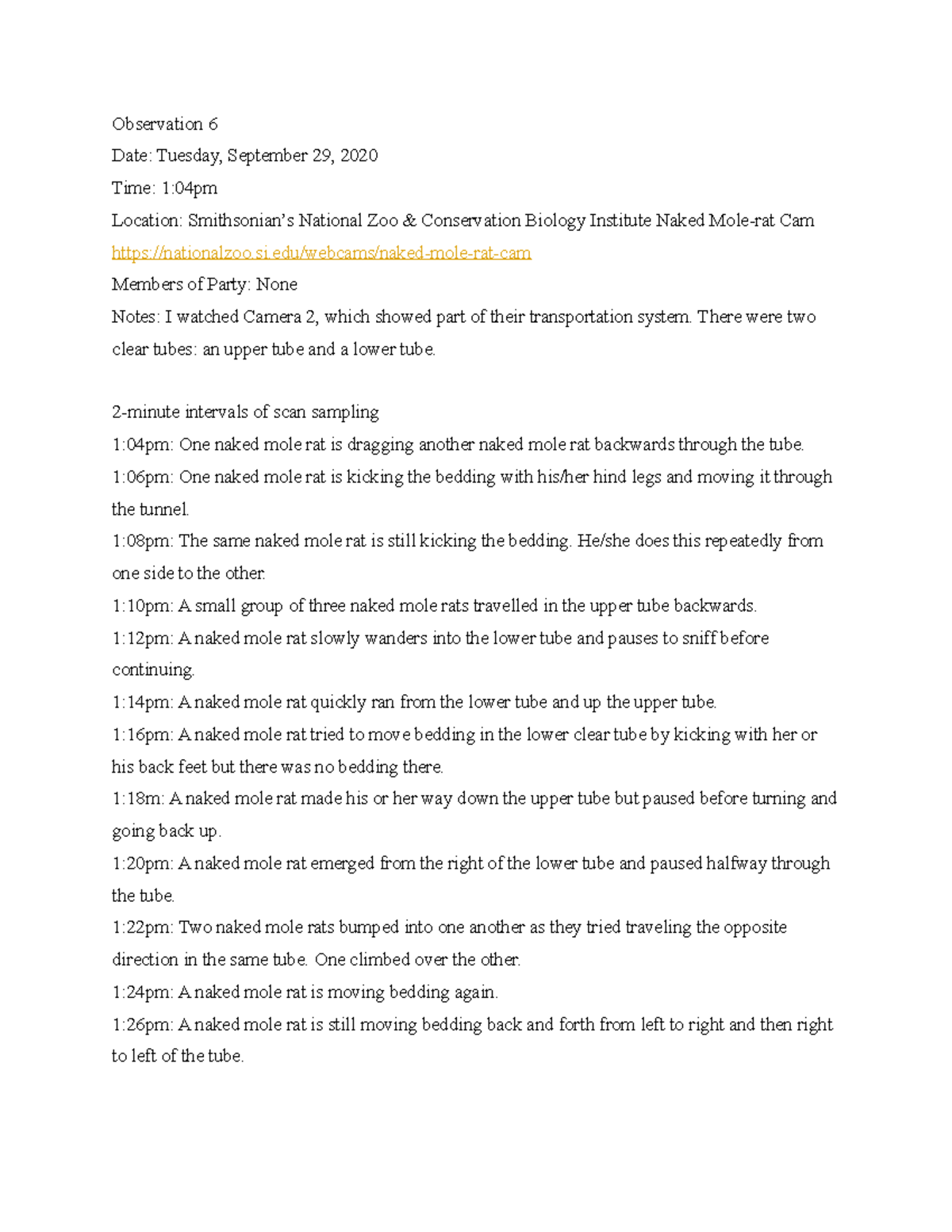 Animal Behavior Observation 6 - Observation 6 Date: Tuesday, September ...