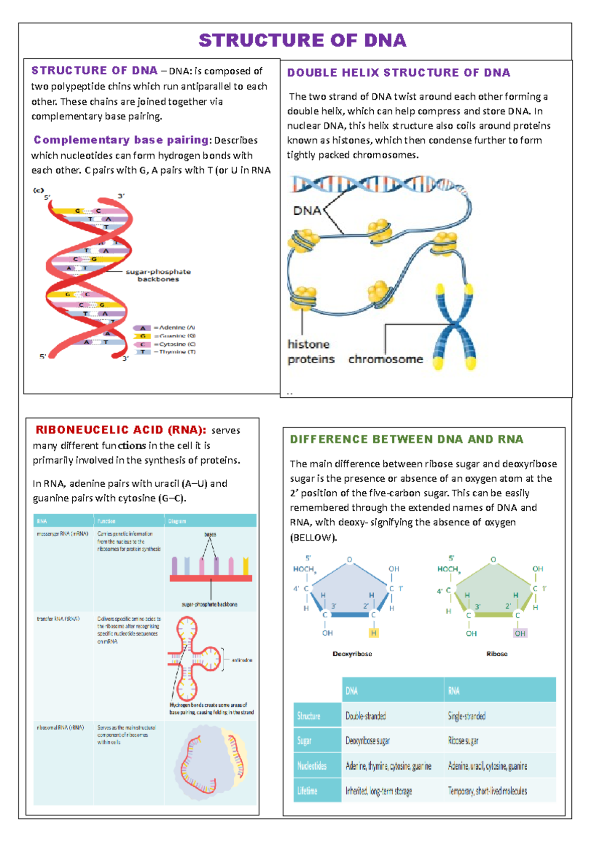 Biology Notes - for exams - DOUBLE HELIX STRUCTURE OF DNA The two ...