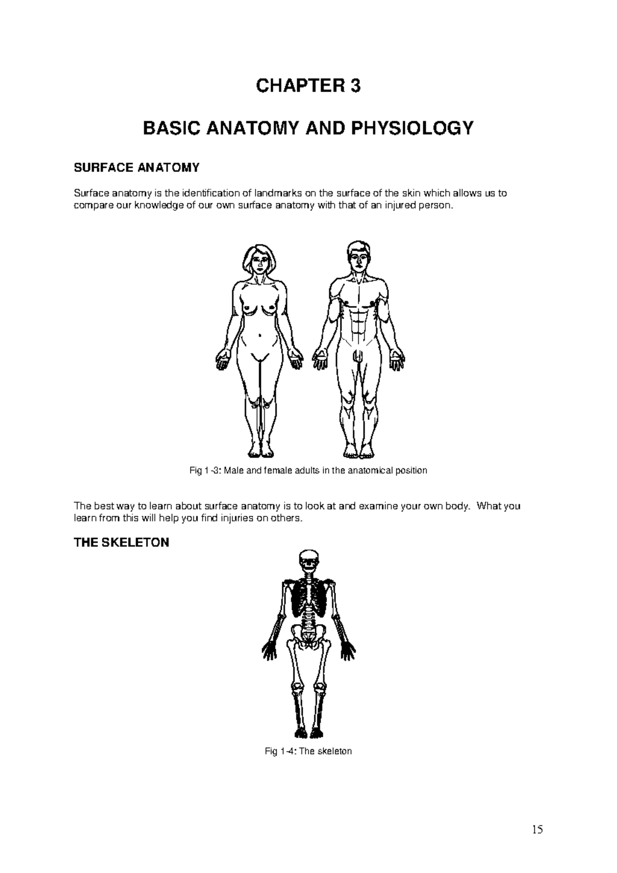 Chapter 3 Basic Anatomy and Physiology - CHAPTER 3 BASIC ANATOMY AND ...