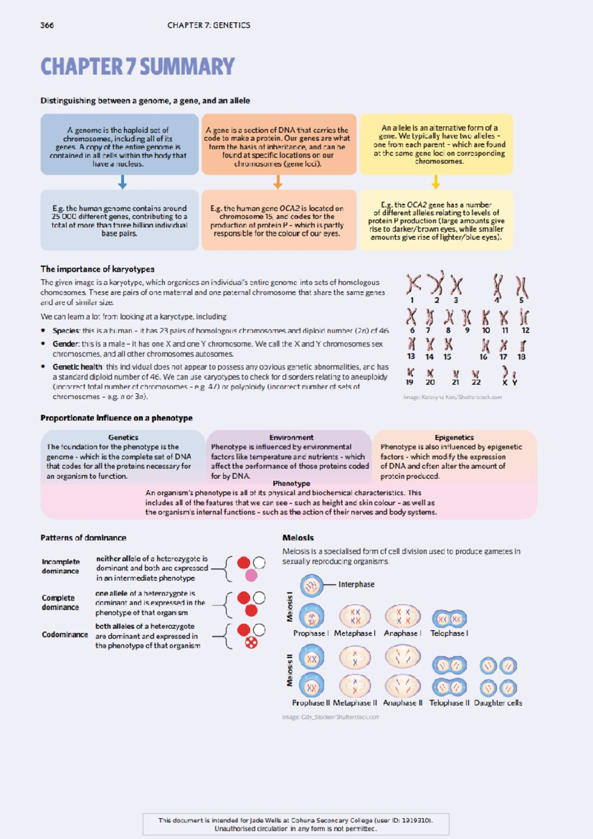 UNIT 2 AOS 1 ( Cheat Sheet) - predicted genetic outcomes for two genes ...