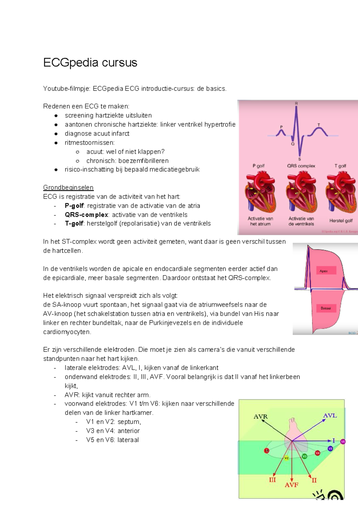 Samenvatting ECGpedia cursus - ECGpedia cursus Youtube-filmpje ...