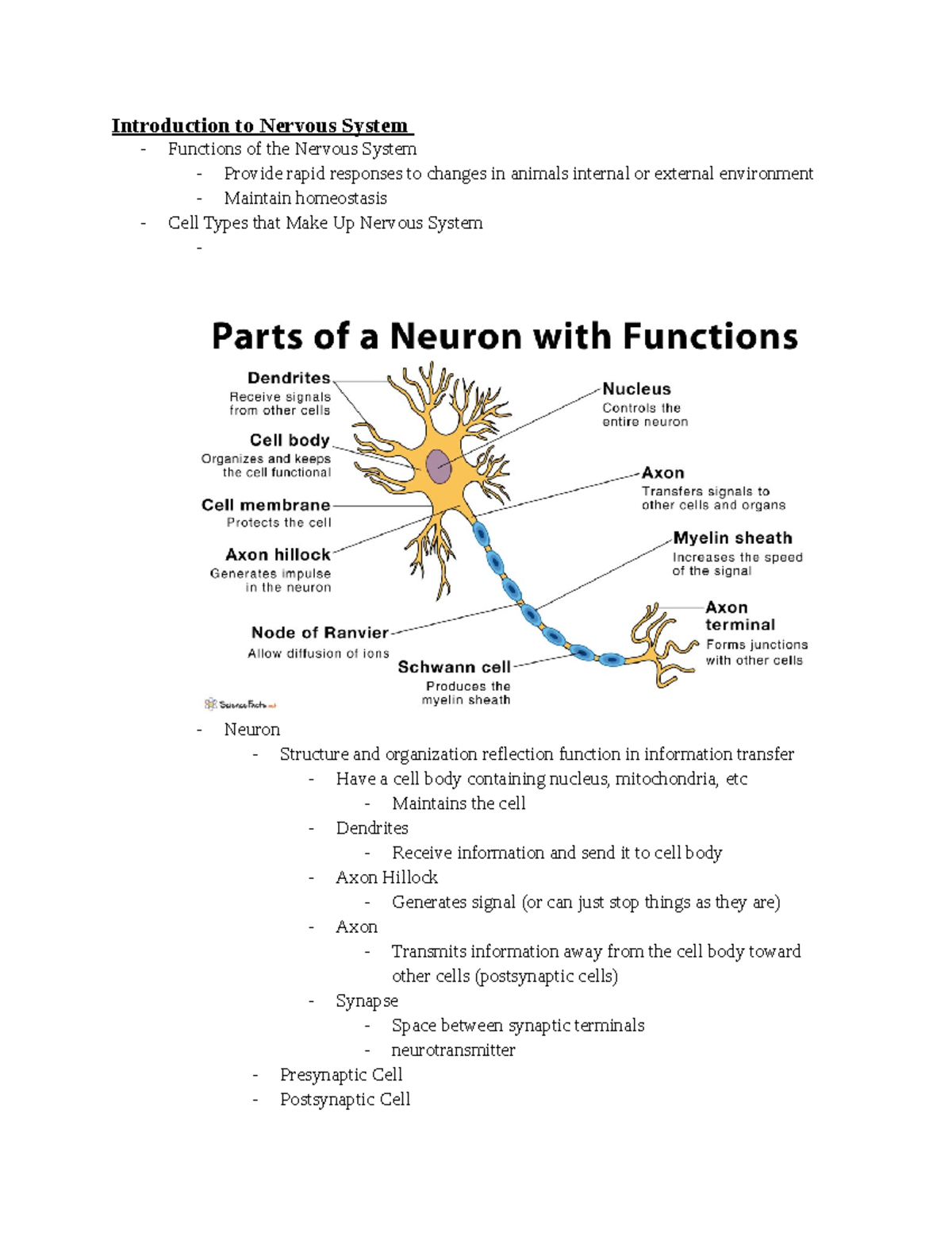 Module 14 Nervous System - Introduction to Nervous System Functions of ...