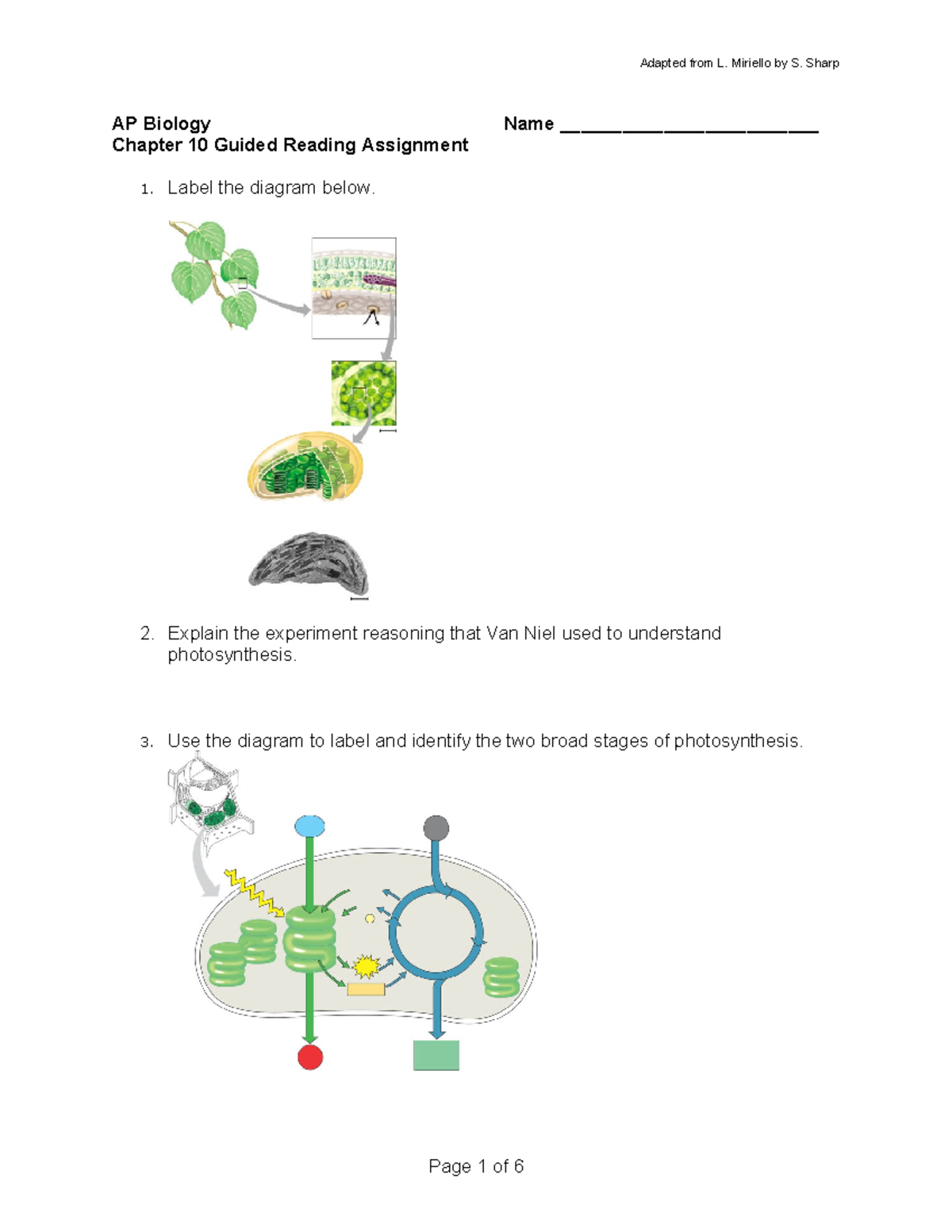 Ch 10 guided reading - Ch 10 - AP Biology Name ...