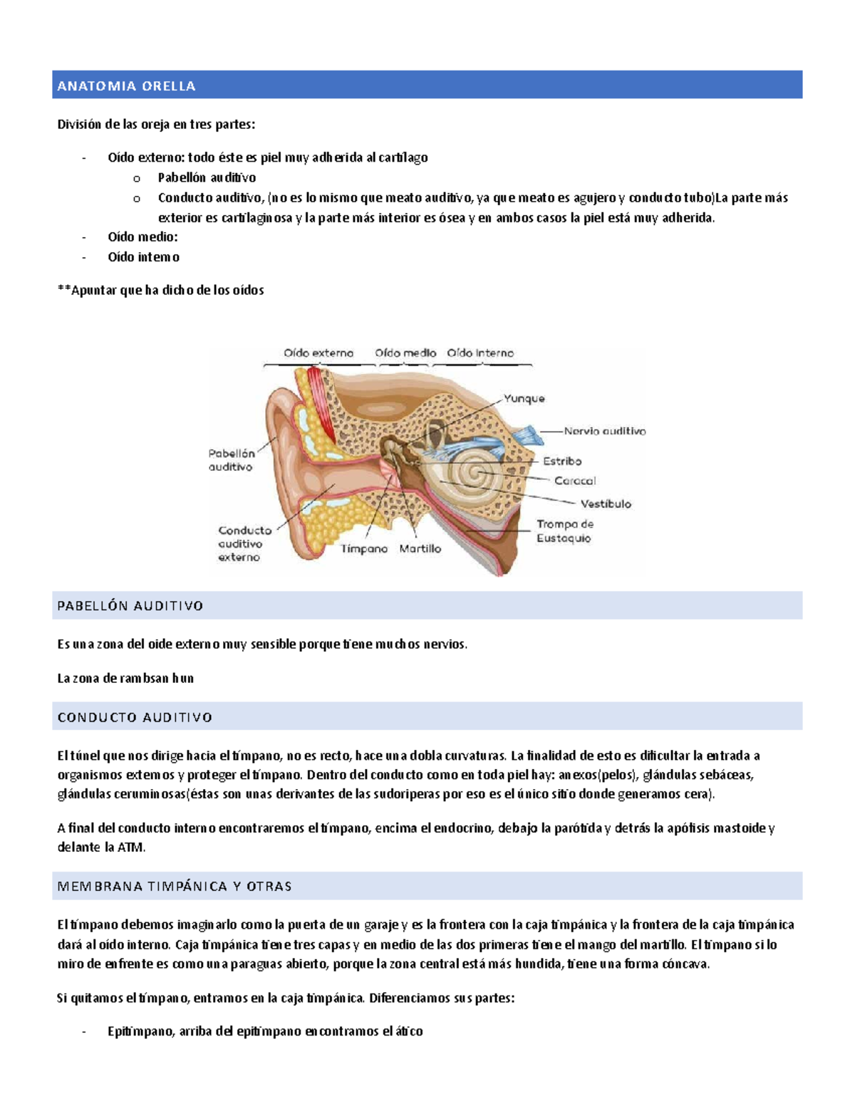 Anatomia Orella apuntes clase magistral - ANATOMIA ORELLA División de ...