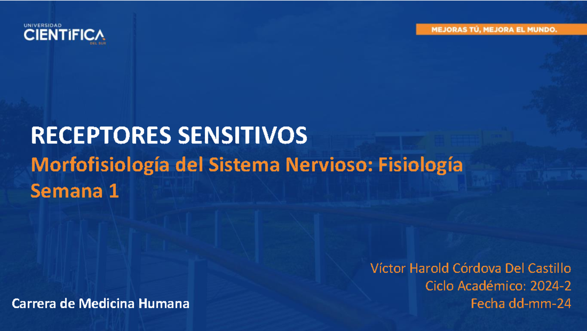 Pptx Morfofisiolog%C3%ADa+del+Sistema+Nervioso Fisiolog%C3%ADa Sem-01 ...