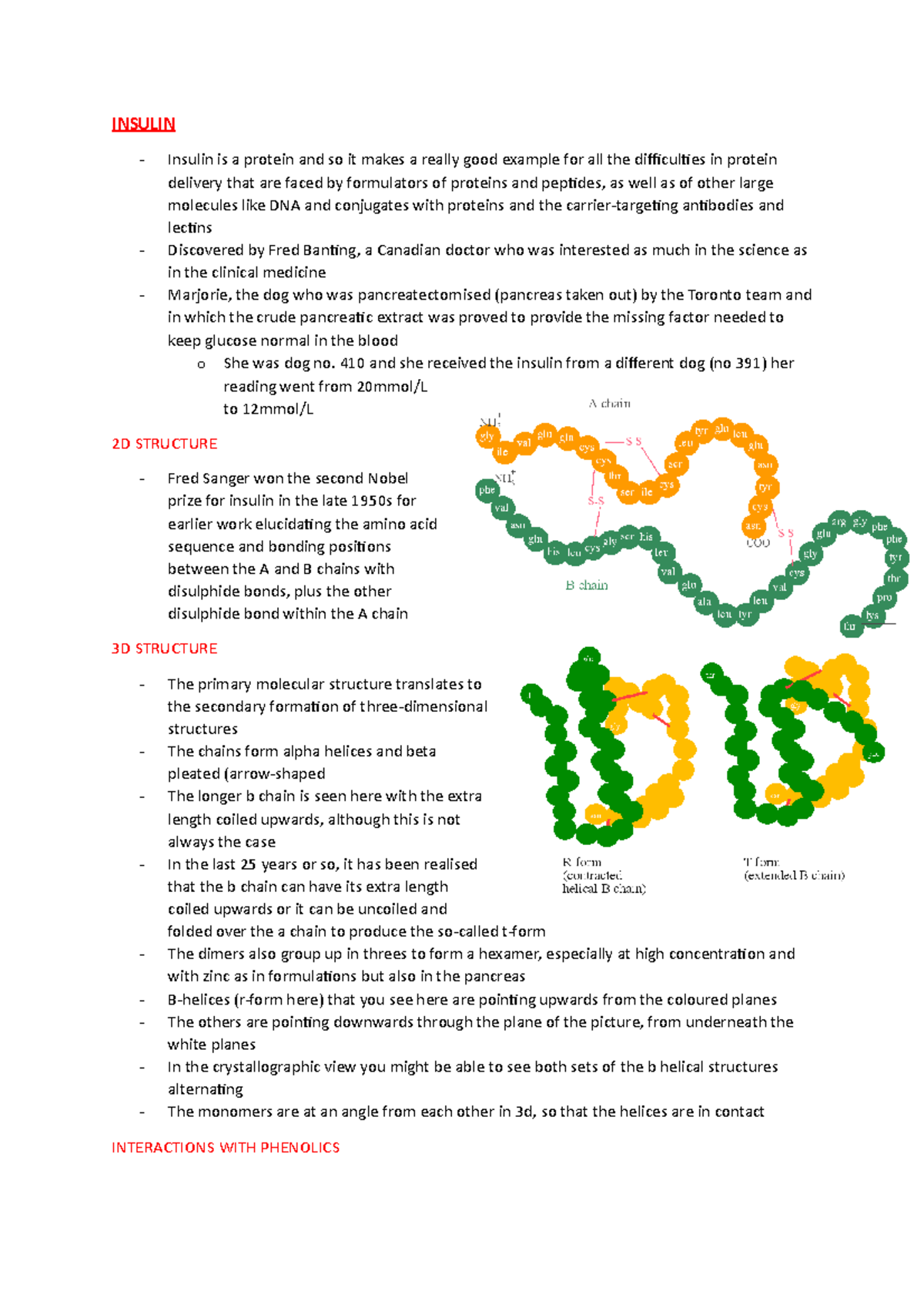 Insulin - Lecture notes - INSULIN - Insulin is a protein and so it ...