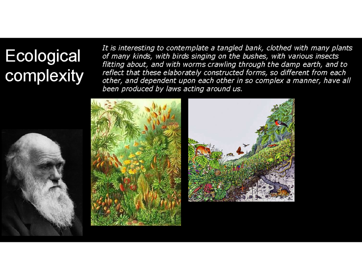 Ecological complexity - It is interesting to contemplate a tangled bank ...