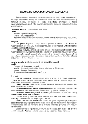 Autonomic nervous system S - • • • D th C C P numb myontraomparseeyse ...