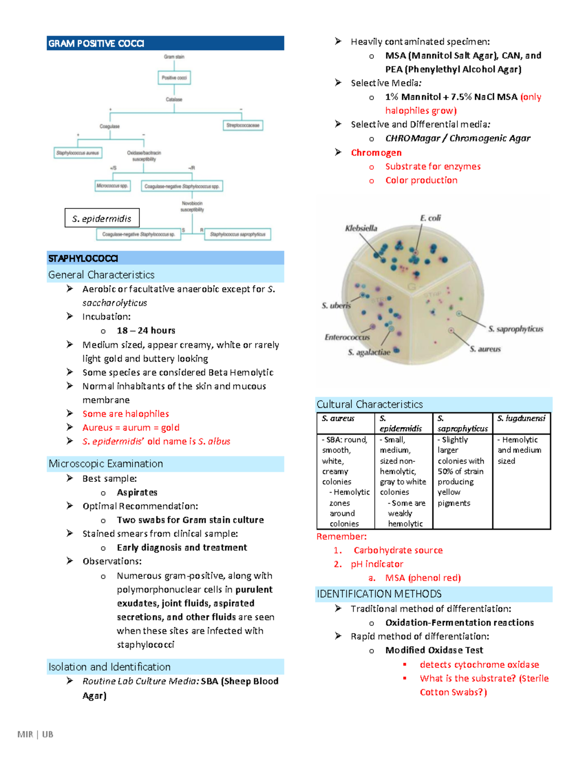 Midterms bacte lab notes - GRAM POSITIVE COCCI STAPHYLOCOCCI General ...