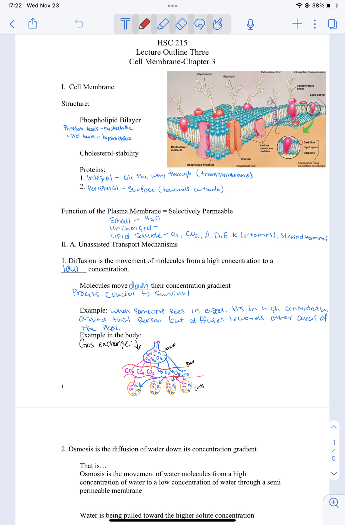 Cell membrane - HSC 215 - Studocu